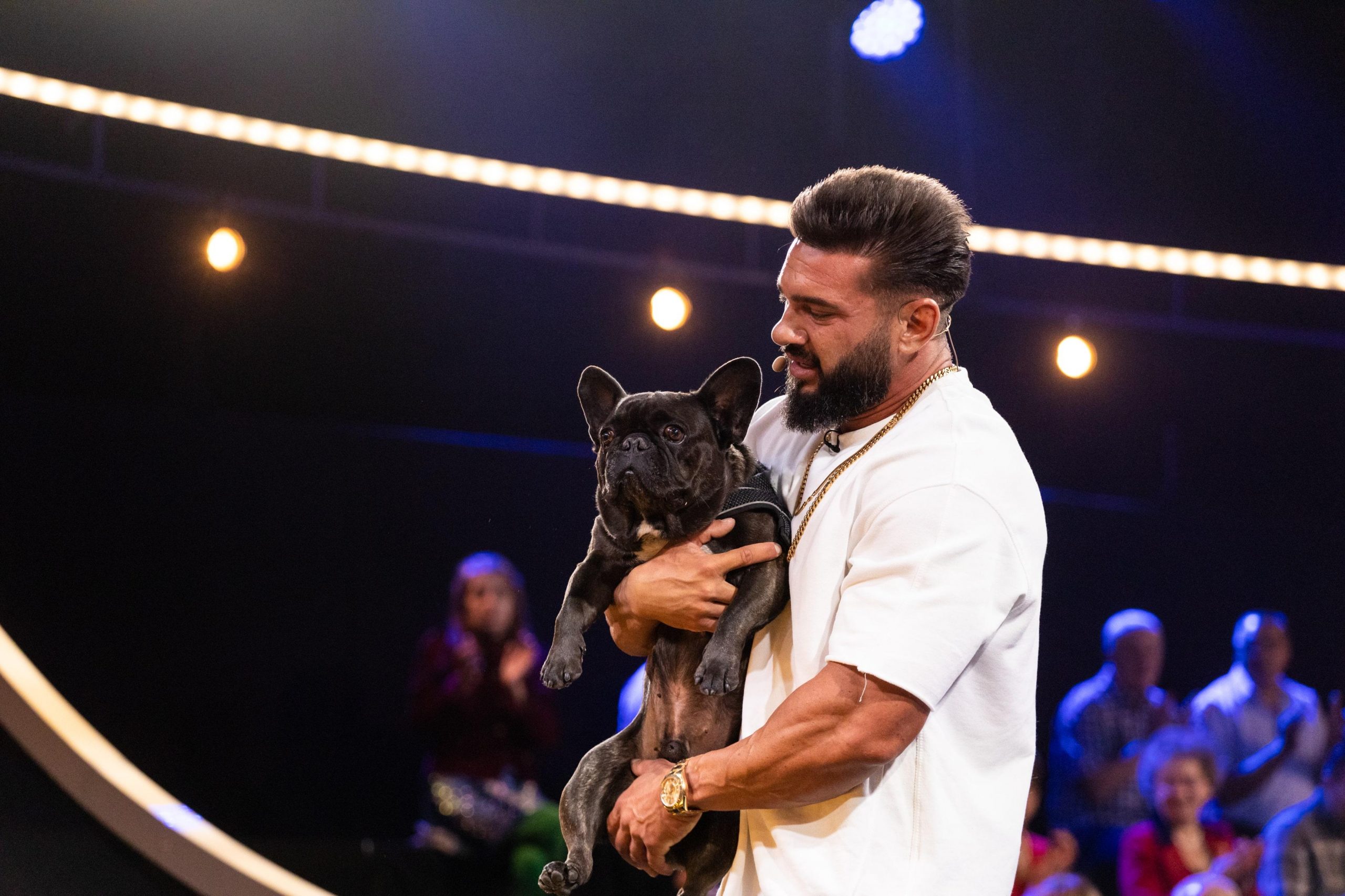 Incident neprevăzut la Stand-Up Revolution Celebrity. Câinele lui ...