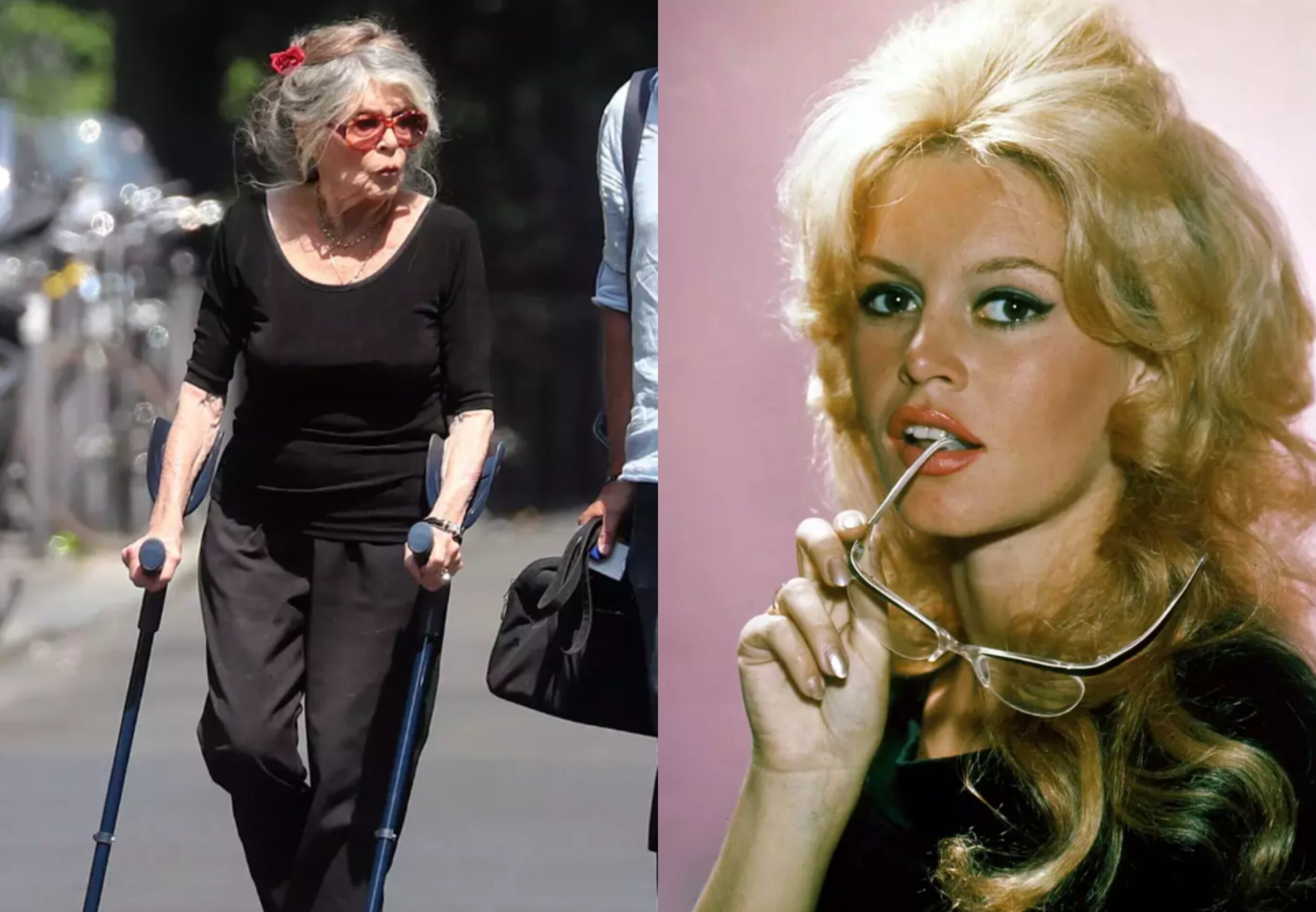 Ultima promisiune a lui Brigitte Bardot pentru fiul său nedorit ...